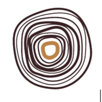 PREETI SIMRAN SETHI, MSc, MBA, LHD | exploring social, environmental, and personal transformation